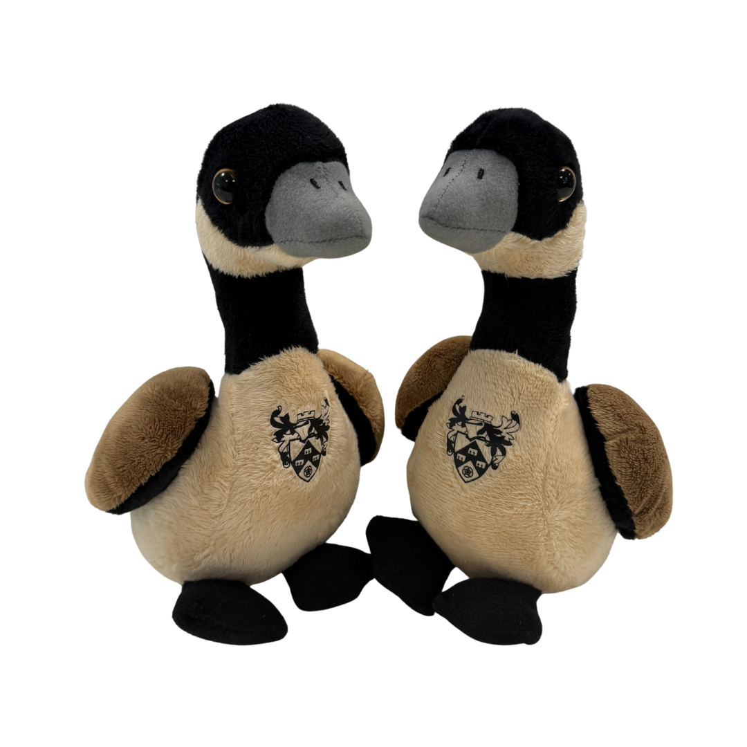 Goose Teddy – University of York Merchandise