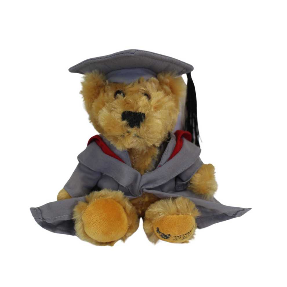 Graduation Bear – University of York Merchandise